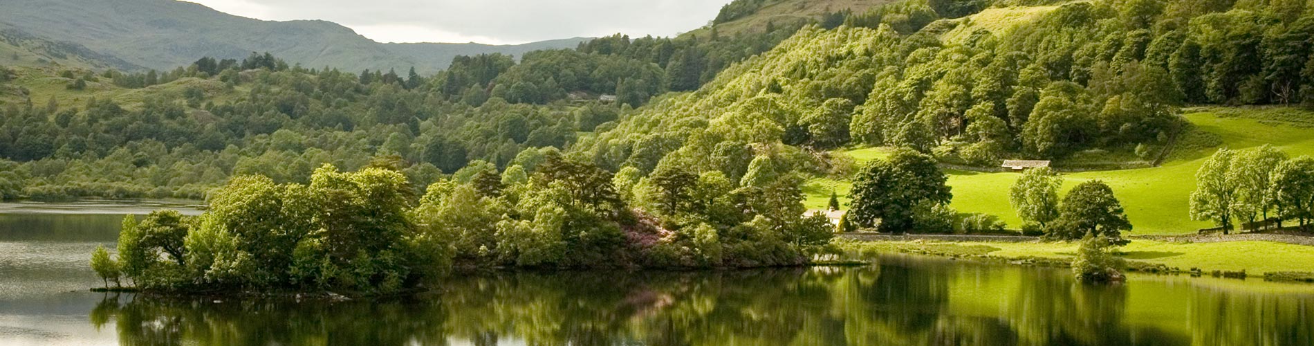 Guide To the Vale of Rydal, Lake District - The Forest Side